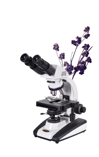 Buy Mesotherapy Injections for Face, Neck and Decollete | Meso Therapy ...